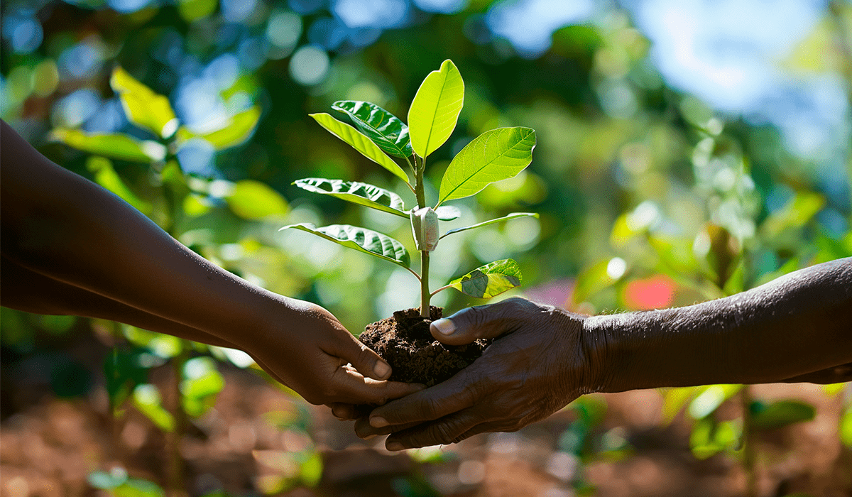 DGB’s Impact Investments, revolutionising responsible investing